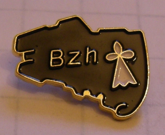 BRITTANY BZH BREIZH ermine vintage pin badge EUR 5,81 - PicClick IT