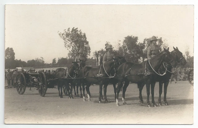 RHA ROYAL HORSE Artillery Rocket Troop Horses & Gun Carriage RP PC ...