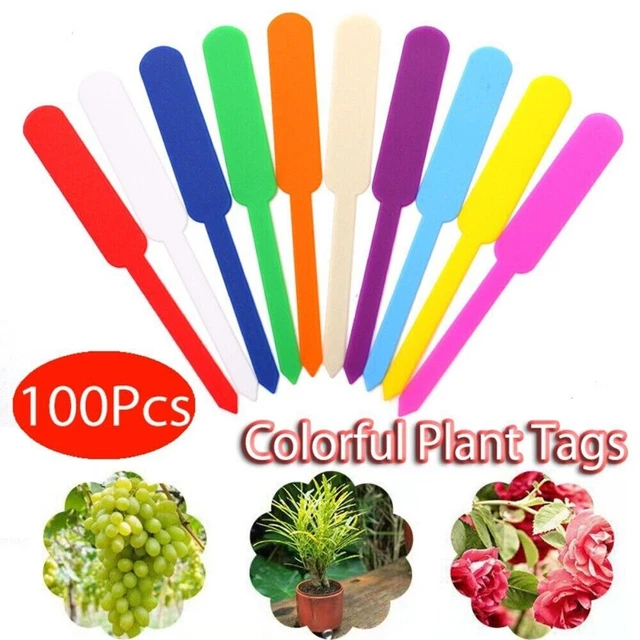 DURABLE PLANT NAME Tags Waterproof Plastic Labels for Succulents (Pack ...