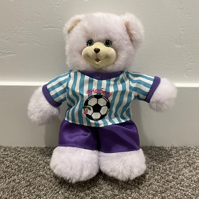RARE FISHER PRICE vintage collectible briarberry bear berrynicole ...
