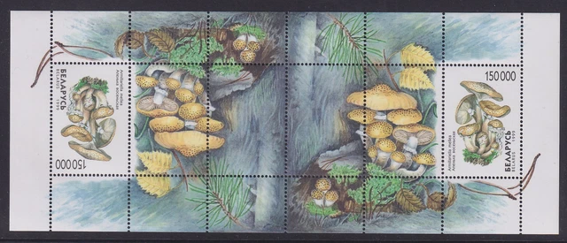 WEISSRUSSLAND / BELARUS 1999 Pilze Mi.-Nr. Block 17 postfrisch ** EUR 2 ...