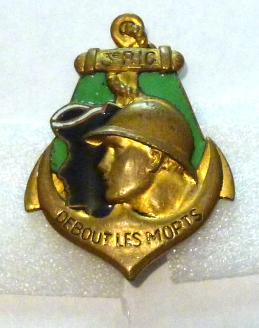 INSIGNE PUCELLE 3ÈME RIC REGIMENT INFANTERIE COLONIALE ARMEE FRANCAISE EUR 9,95 - PicClick FR