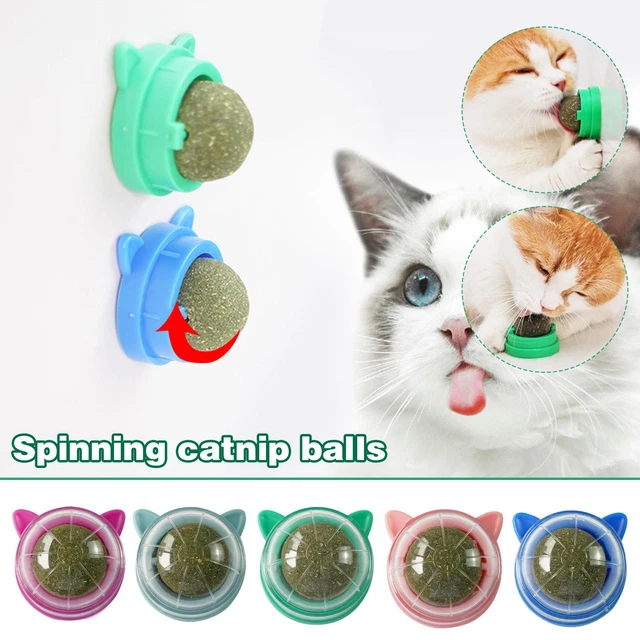 Natural Catnip Kitten Mint Ball Toy Cats Playing Cleaning Catnip