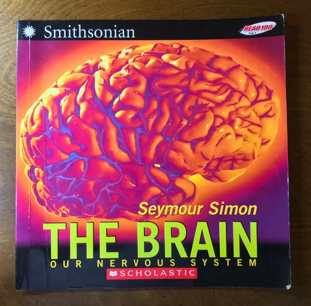 THE BRAIN OUR Nervous System by Seymour Simon Scholastic Books 2006 ...