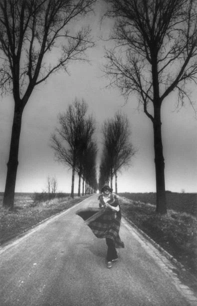 BARBARA IN THE Countryside The singer BARBARA poses on a small tre- Old ...