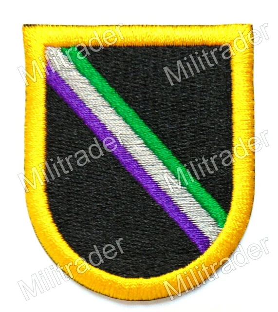 US ARMY SPECIAL Warfare NCO Academy Beret Flash Patch EUR 4,59 ...