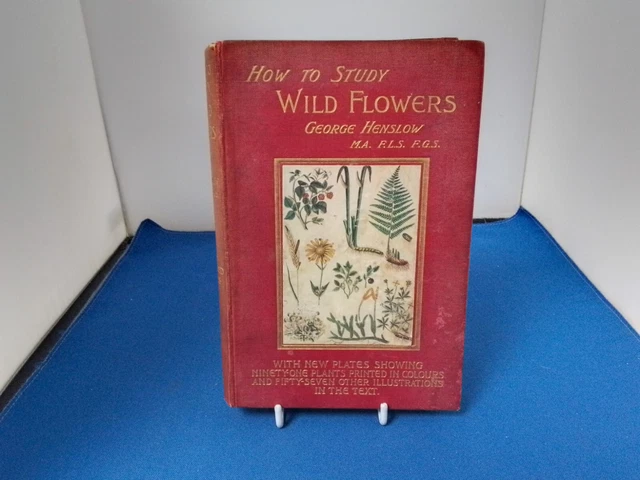 HOW TO STUDY WILD FLOWERS by George Henslow, Religious Tract Society ...
