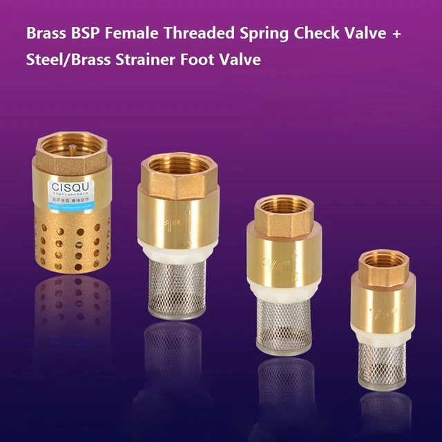 BRASS BSP FEMALE Threaded Spring Check Valve + Steel/Brass Strainer ...