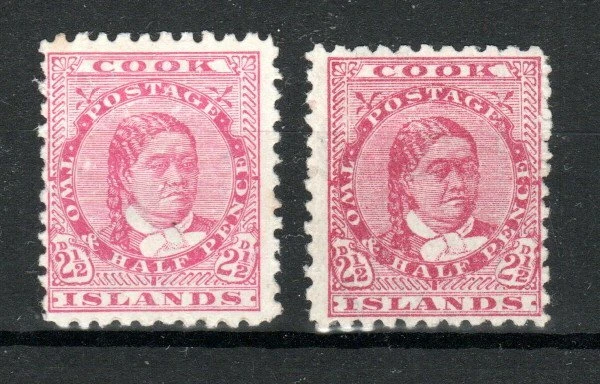 ÎLES COOK 1893-1900 2 1/2d Rose Pâle Et 1900 2 1/2d Rose Foncé SG 16-16a MH EUR 42,68 - PicClick FR