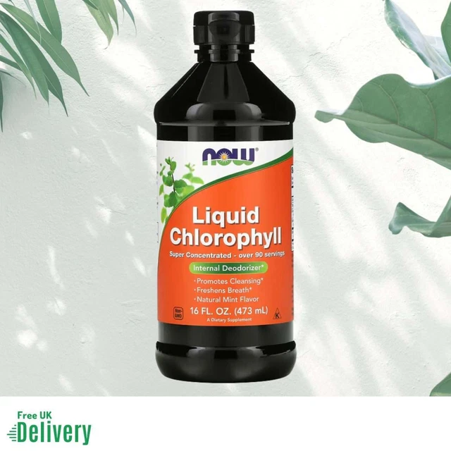 NOW FOODS CHLOROPHYLL Liquid Natural Mint Flavour 473ml £21.99 ...