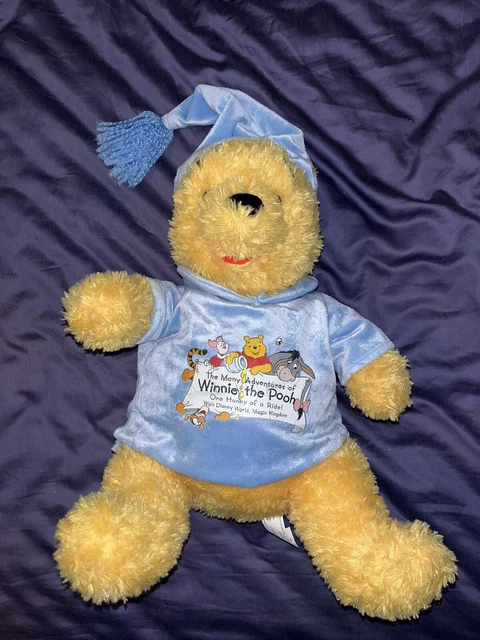 WALT DISNEY WORLD Parks Winnie the Pooh Plush Magic Kingdom Ride ...