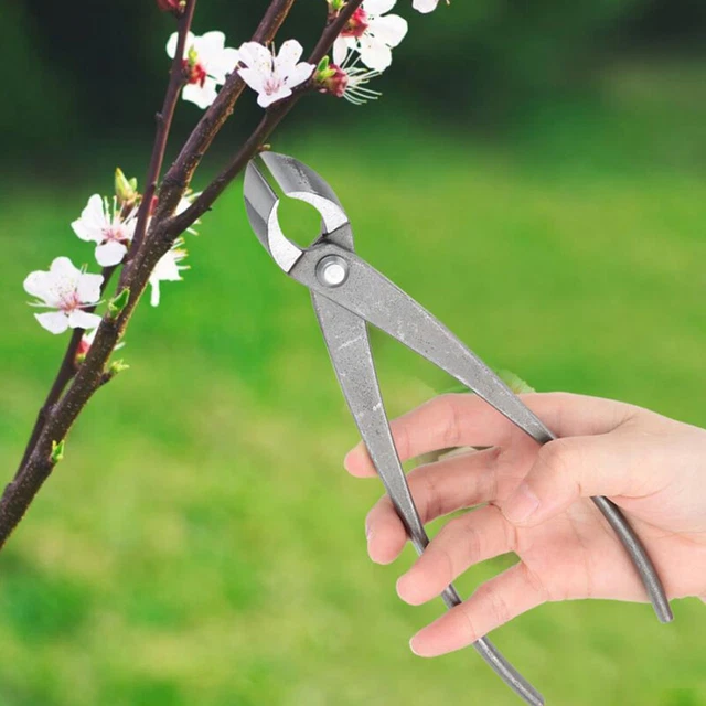 GARDEN BRANCH CUTTER Forged Steel Round Edge Scissors Garden Tree ...