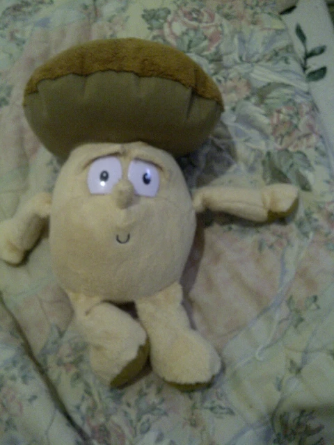 GOODNESS FOOD GANG Mushroom Plush Soft Toy Co-op Collectable Teddy 9.5 ...