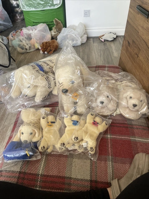7 X GOLDEN LABRADOR RETRIEVER plush PUPPY DOG ANDREX soft toy & BEANIES ...