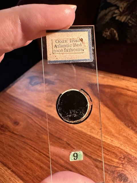 ANTIQUE MICROSCOPE SLIDE Ooze From Atlantic Bed 2000 Fathoms Geological ...