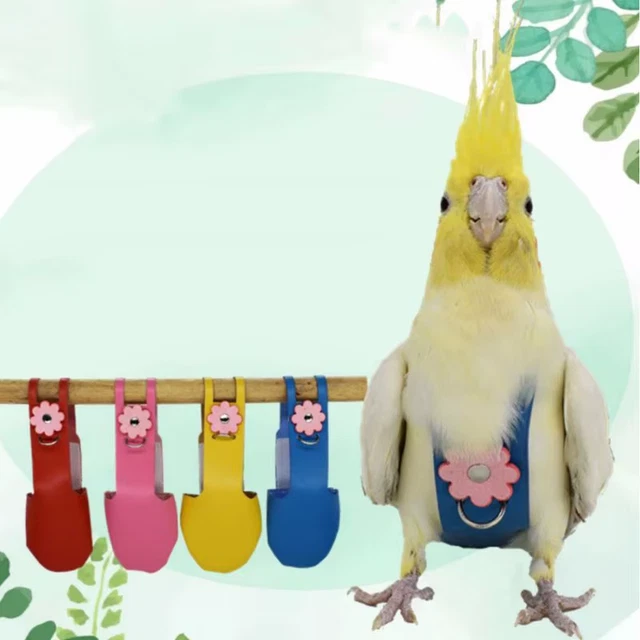 BIRD PARROT VELVET Leather Diaper with Leash Harness Rope Cockatiel ...