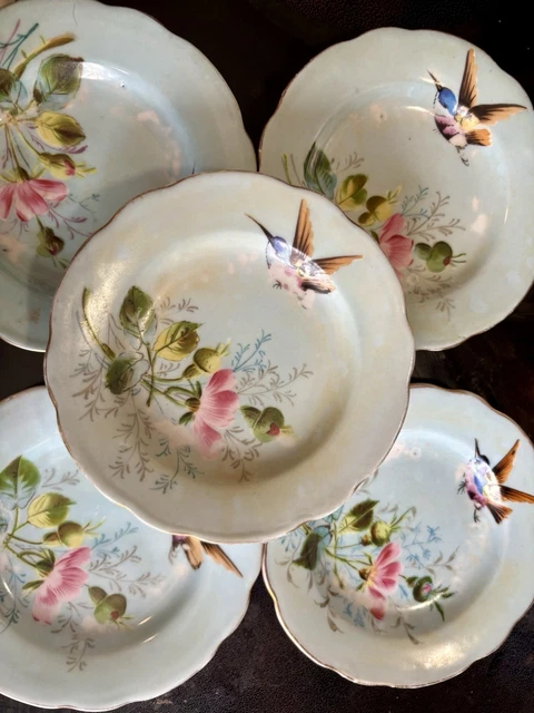 VINTAGE HUMMINGBIRD PLATES With Gold Trim Small Set Of 5 £15.21 ...