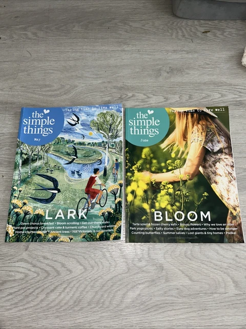 THE SIMPLE THINGS May And June 2026 £7.59 - PicClick UK