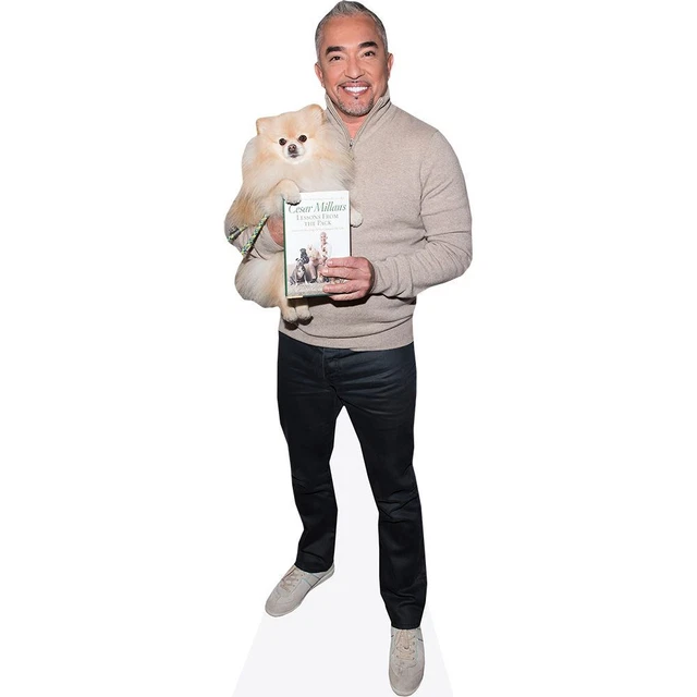 CESAR MILLAN FAVELA (Book) Grandeur Nature EUR 67,53 - PicClick FR