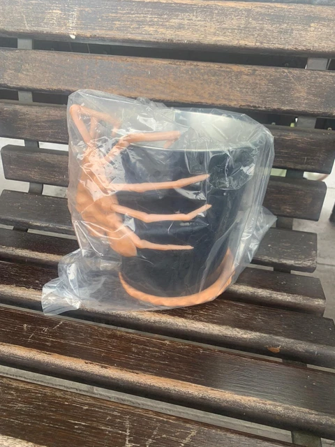 ALIEN ROMULUS 2024 👽 Movie UK Odeon Cinema Popcorn Bucket Brand New In ...