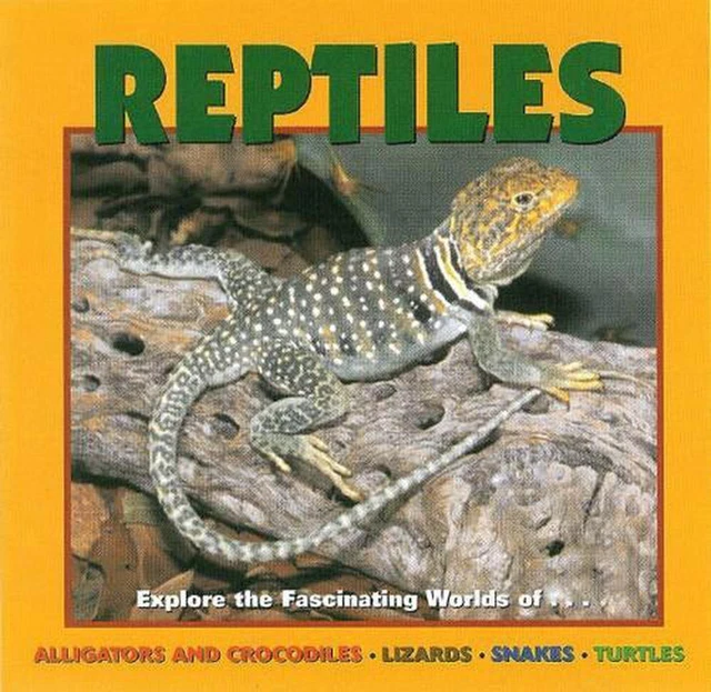 REPTILES: ALLIGATORS AND Crocodiles, Lizards, Snakes and Turtles by ...