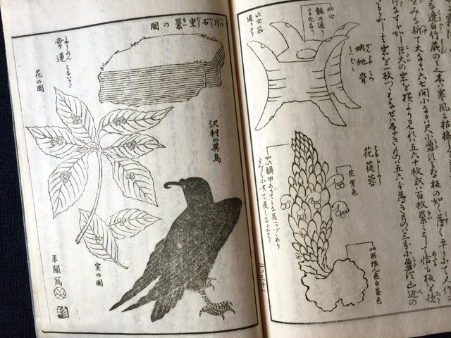 EDO JAPAN SHINANO Oddities Guide Cryptid Natural wonder Woodblock print ...