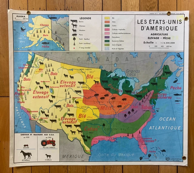 VINTAGE 70S 2 sided French classroom wall map of the United States ...
