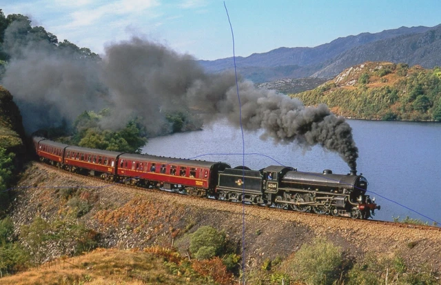 STEAM TRAIN PICTURE Lner Engine B1 Locomotive Photo 61264 Passenger ...