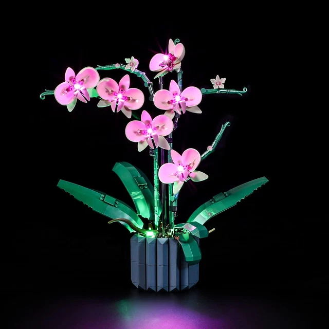 KIT D'ÉCLAIRAGE LED pour Lego-10311 L’Orchidée Modèle de Blocs de ...