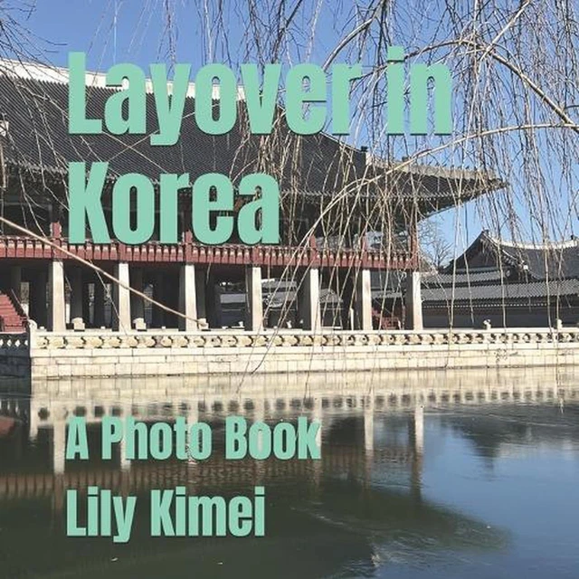 LAYOVER IN KOREA: A Photo Book by Lily Kimei Paperback Book £26.00 ...