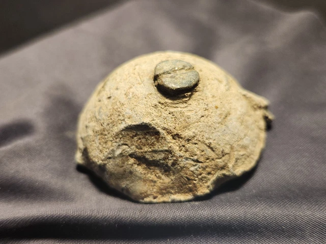 POST MEDIEVAL LEAD Plumb Bob Weight Bronze Pin R. Please read ...