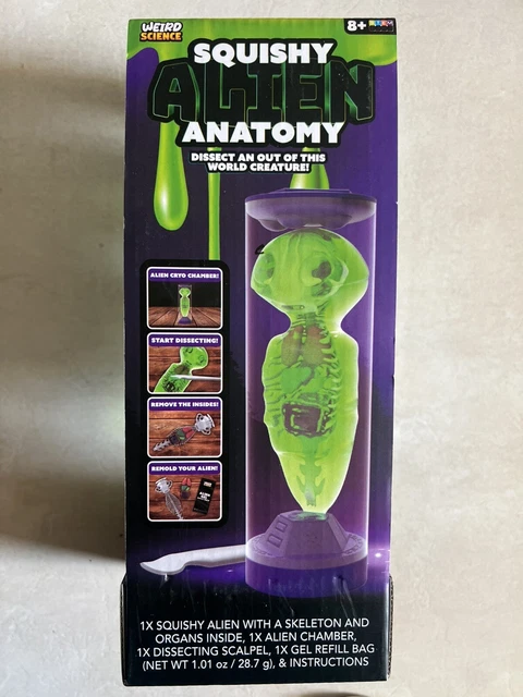 SQUISHY ALIEN ANATOMY Stem Dissection Activity Fun Science For Kids £13 ...