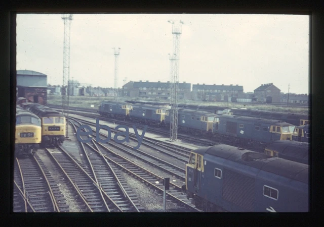 ORIGINAL 35MM SLIDE- Class 35 'Hymek' & Western locos at Cardiff Canton ...