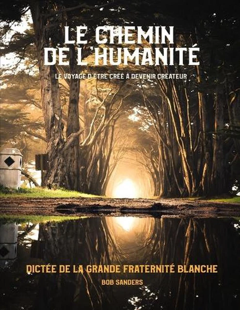 LE CHEMIN DE L'humanit : Le Parcours de la Cr?ation ? Devenir un Cr?ateur par Bob EUR 12,32 ...