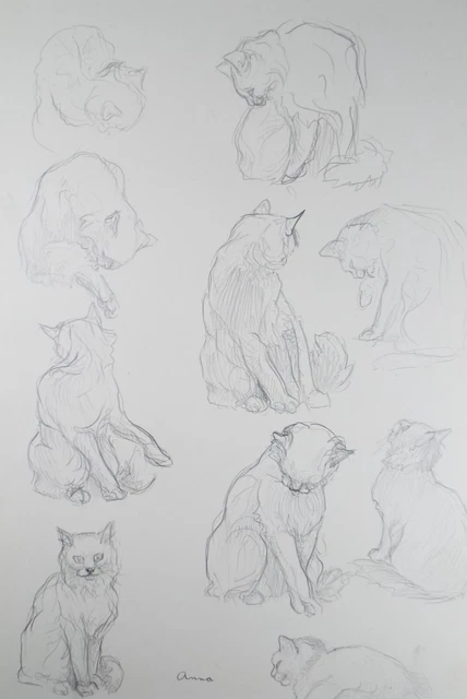 ORIGINAL PENCIL SKETCH,'STUDY of cats', Helen Collins (1921-1990 ...