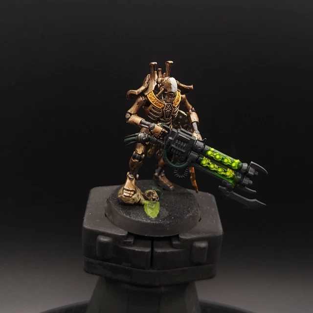 PRO PAINTED WARHAMMER 40k necrons Indomitus Royal Warden games workshop ...