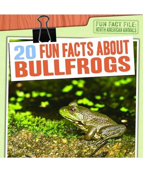 20 FUN FACTS About Bullfrogs (Fun Fact File: North American Animals ...
