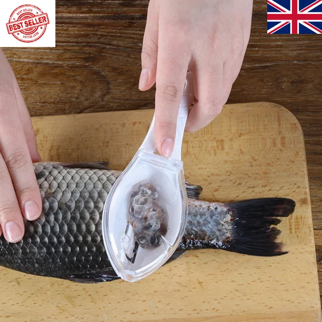 FISH SCALES SCRAPER Cleaning Tool Remover Device with Cover Kitchen ...