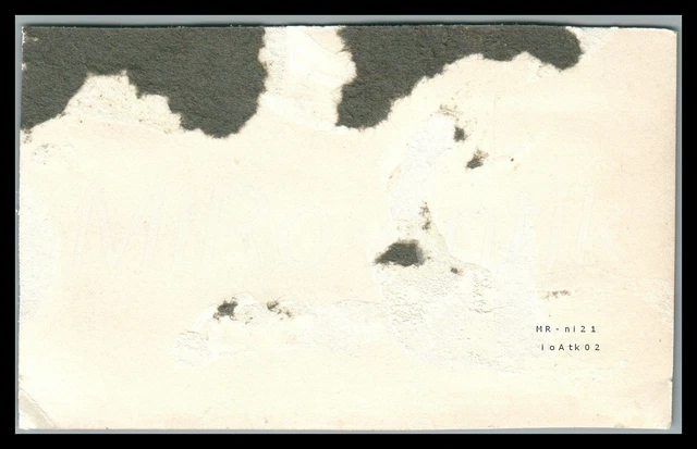 FOTO, NACHL. FLIEGERING.PELLETIER, Flugzeug in der Luft, Kennung C1102 ...