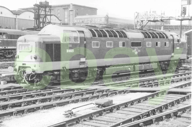 UK DIESEL TRAIN Railway Photograph Of Class 55 Deltic Loco D9021. Rm55 ...