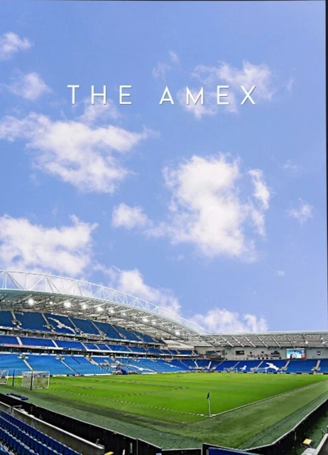 BRIGHTON HOVE ALBION fc football club new stadium fridge magnet ...