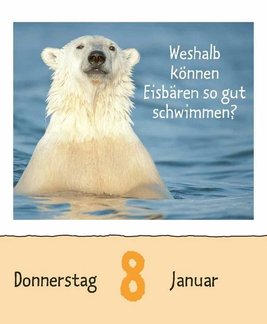 WIE FAUL IST das Faultier? 2026 Verlag Korsch EUR 15,99 - PicClick DE