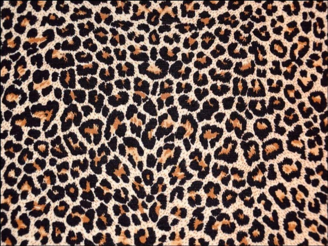 BROWN LEOPARD ANIMAL Print A4 Icing Sheet Cake Topper Edible Decoration ...