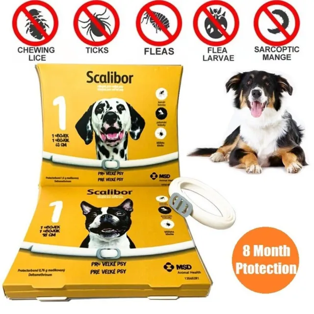 COLLIER ANTI-INSECTES-PUCES ET tiques protection 8 mois pour Chiens ou ...