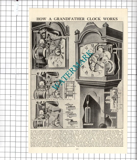GRANDFATHER CLOCK DIAGRAM - c.1940's Cutting £8.75 - PicClick UK