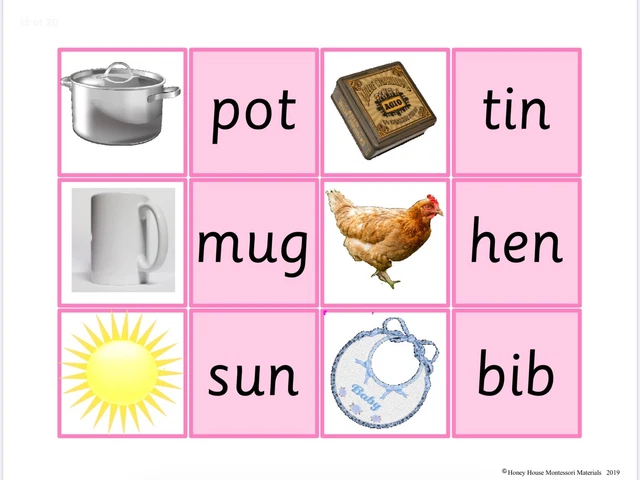 MONTESSORI PINK SERIES Word and Picture Cards (CVC short vowel sounds ...