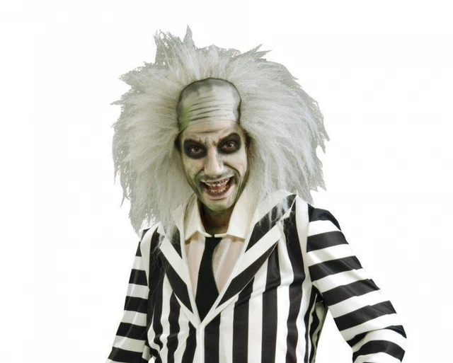 ADULT OFFICIAL BEETLEJUICE Einstein White Iconic Frizzy Hair Halloween ...