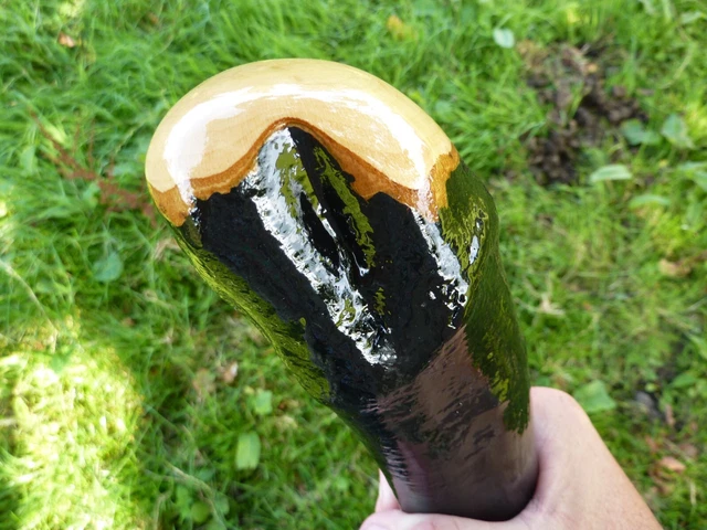 HUGE IRISH BLACKTHORN Shillelagh Heavy Walking Stick Cane Cudgel War ...