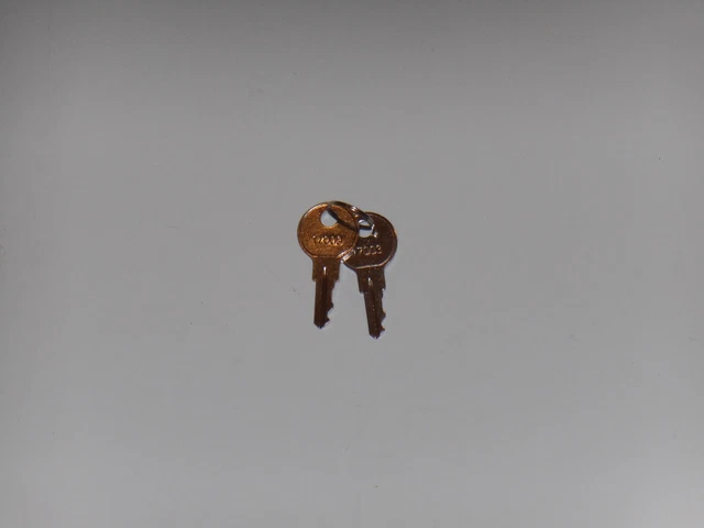 FIRE-LITE NOTIFIER FIRE Alarm Panel FACP Pull Station Factory OEM Key ...