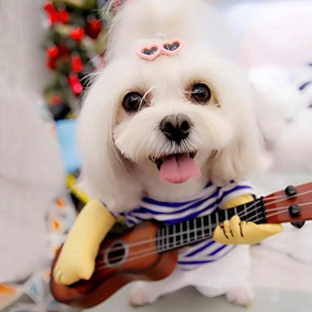 PET GUITAR COSTUME - Dog Costume Funny -Clothes Dogs-Cats Super ...